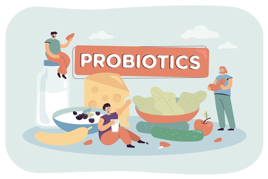 probiotic cheese industry-Start your successful project